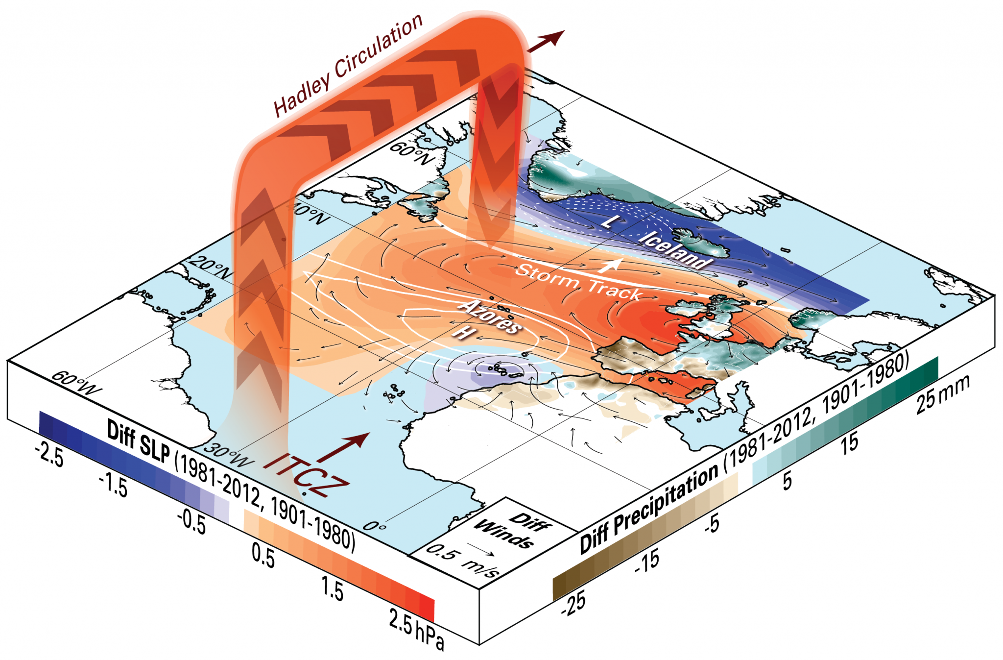 The Hadley Circulation and Widening of the Tropics - Caroline ...